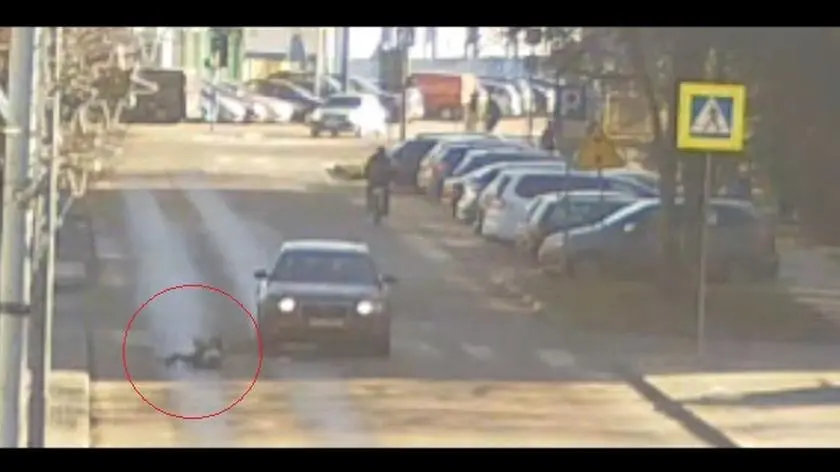 Łuków. 12-latka potrącona na przejściu dla pieszych. Kierowcę "oślepiło słońce" - TVN24