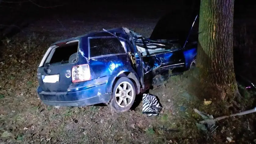 Lubelskie. Tragiczny wypadek. Nie żyje 18-latka, 19-latek walczy o życie - TVN24