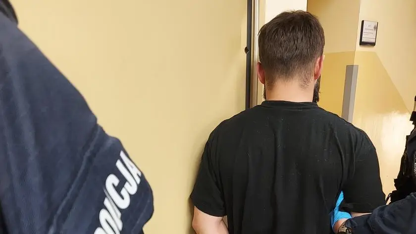 Zgierz, woj. łódzkie. 35-latek podejrzany o strzelanie z wiatrówki w kierunku przechodniów - TVN24