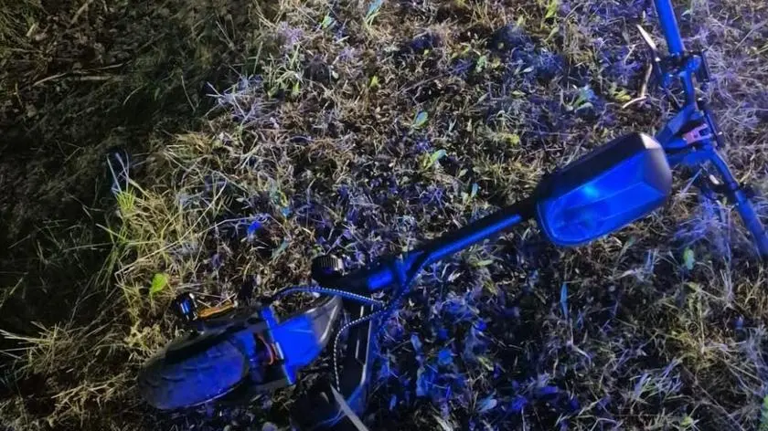 Chmielów. 16-latek na hulajnodze elektrycznej uderzył w przebiegającą sarnę - TVN24