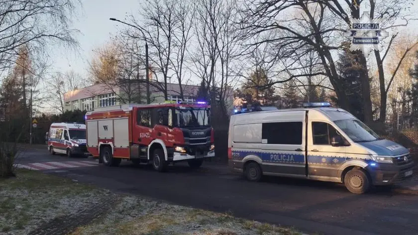 Tarnowskie Góry. Czterolatek potrącony na przejściu dla pieszych - TVN24