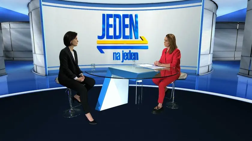 Kryzys na granicy polsko-białoruskiej. Bogna Janke o działaniach ...