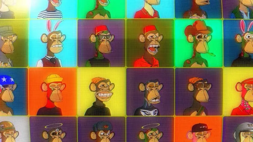 Ciemne i jasne strony NFT (ang. NFT:WTF? | The Rise and Fall of NFTs ...