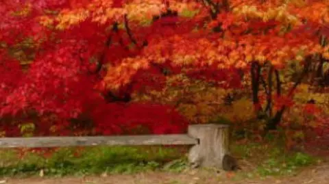 Ciekawostki pogodowe - str 442 | TVN Meteo