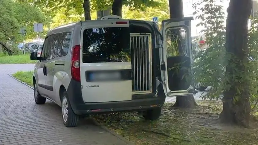 Warszawa. Podejrzany o zabicie matki jest niepoczytalny, uniknie więzienia? | TVN Warszawa