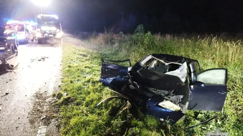 Ciechanów. Trzy wypadki z łosiem, jednego dnia, w jednym powiecie | TVN Warszawa