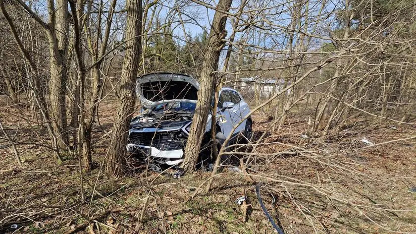 Okuniew. Wjechała w drzewo, była pijana i nie miała prawa jazdy | TVN Warszawa