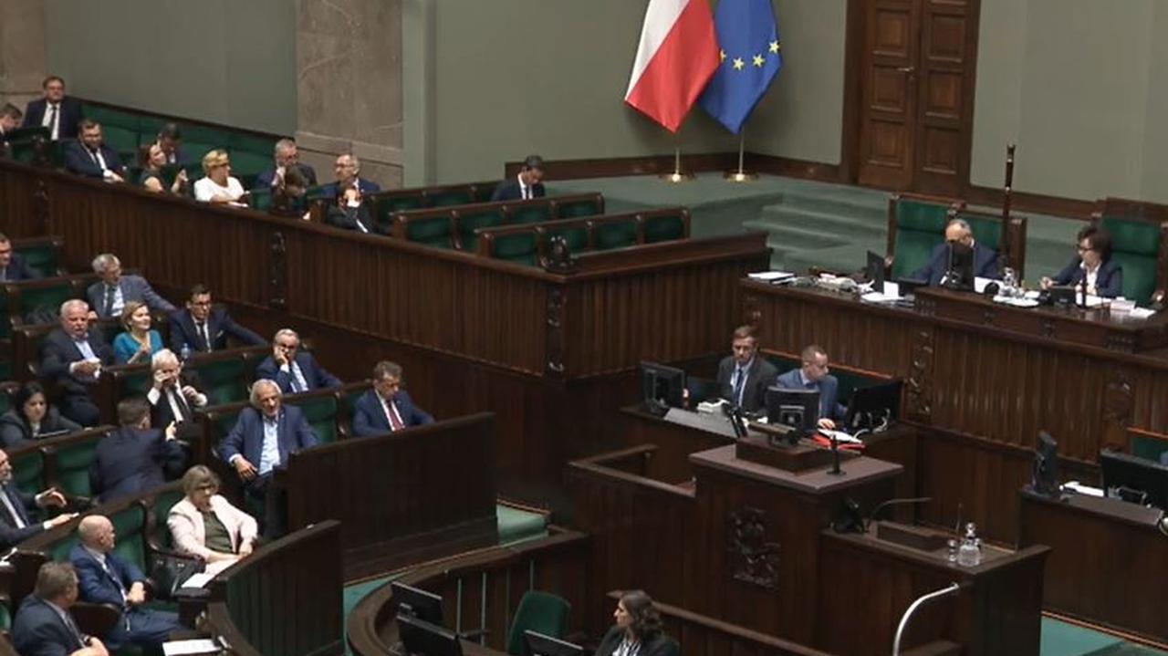 Komisja do spraw pedofilii powołana przez Sejm. Czym się zajmie? - TVN24