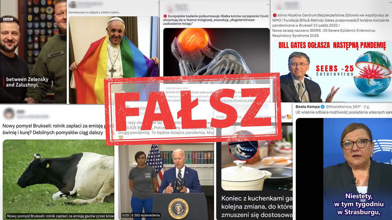 Polacy vs dezinformacja. W jakie fałsze wierzymy, komu ufamy, czego się ...