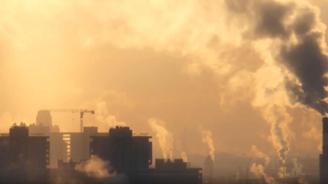 Negatywny wpływ smogu na rozwój dzieci - TVN24