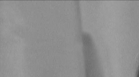 Barbara Borys-Damięcka nie żyje. Senatorka i reżyserka miała 85 lat - TVN24