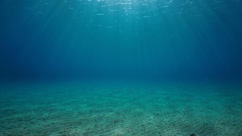 Wgłębienia na dnie Morza Północnego. Myślano, że odpowiada za nie ...