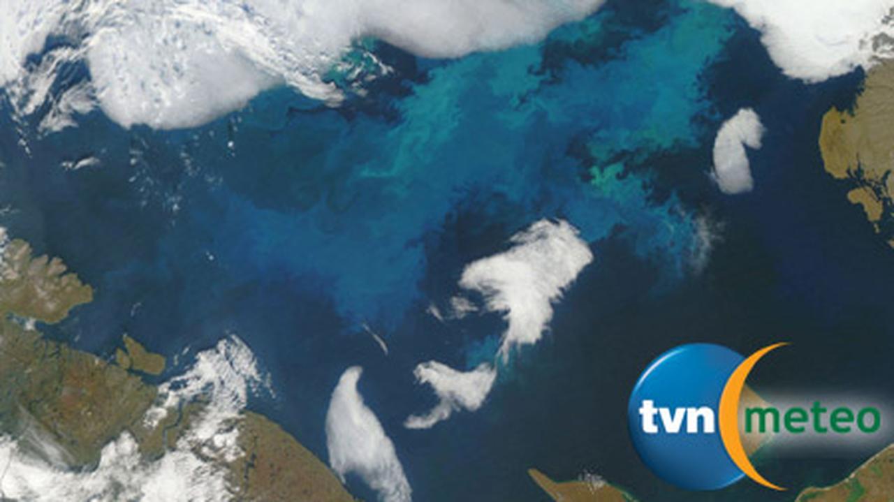 Malowniczy plankton ozdobił Morze Barentsa - TVN24